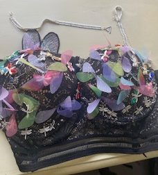 Madam Dragonfly – The Dragonfly Jar